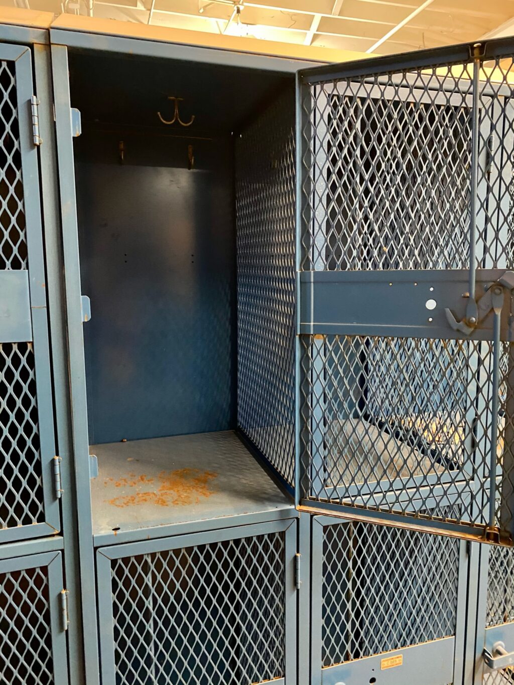 Blue Mesh Gym Lockers – 6 doors – Bauer Bros Inc.